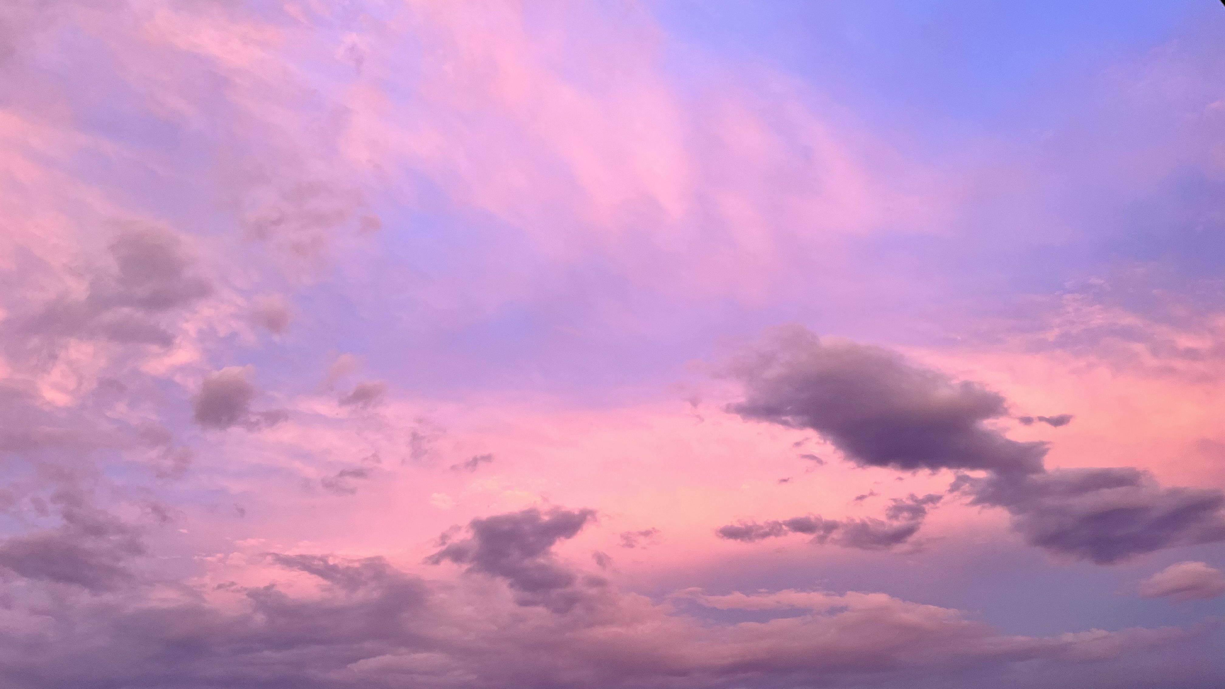 Pink Sky at Night – Sarah Roonie